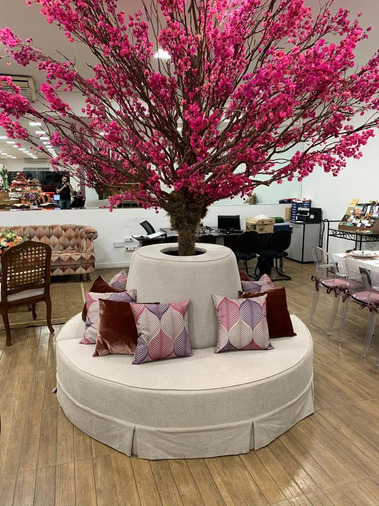 Cone com Módulo Meia Lua